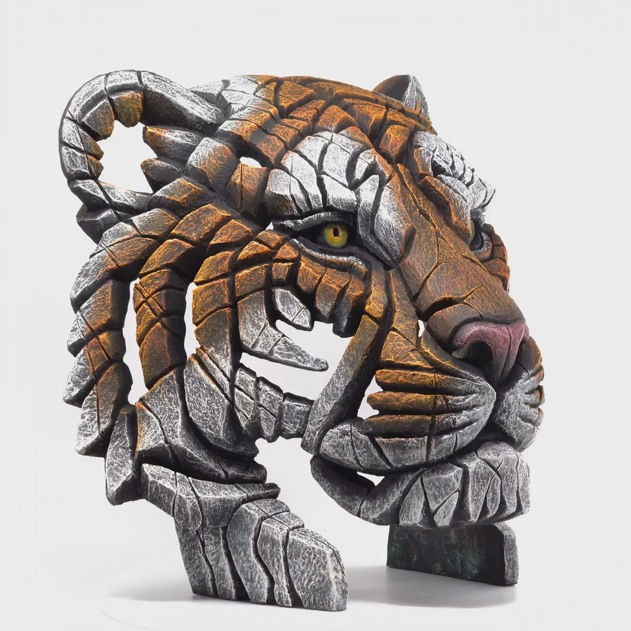 Edge Sculpture Tiger Bust by Matt Buckley – Artworx Gallery