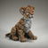 Lion Cub from Edge Sculpture by Matt Buckley – Artworx Gallery