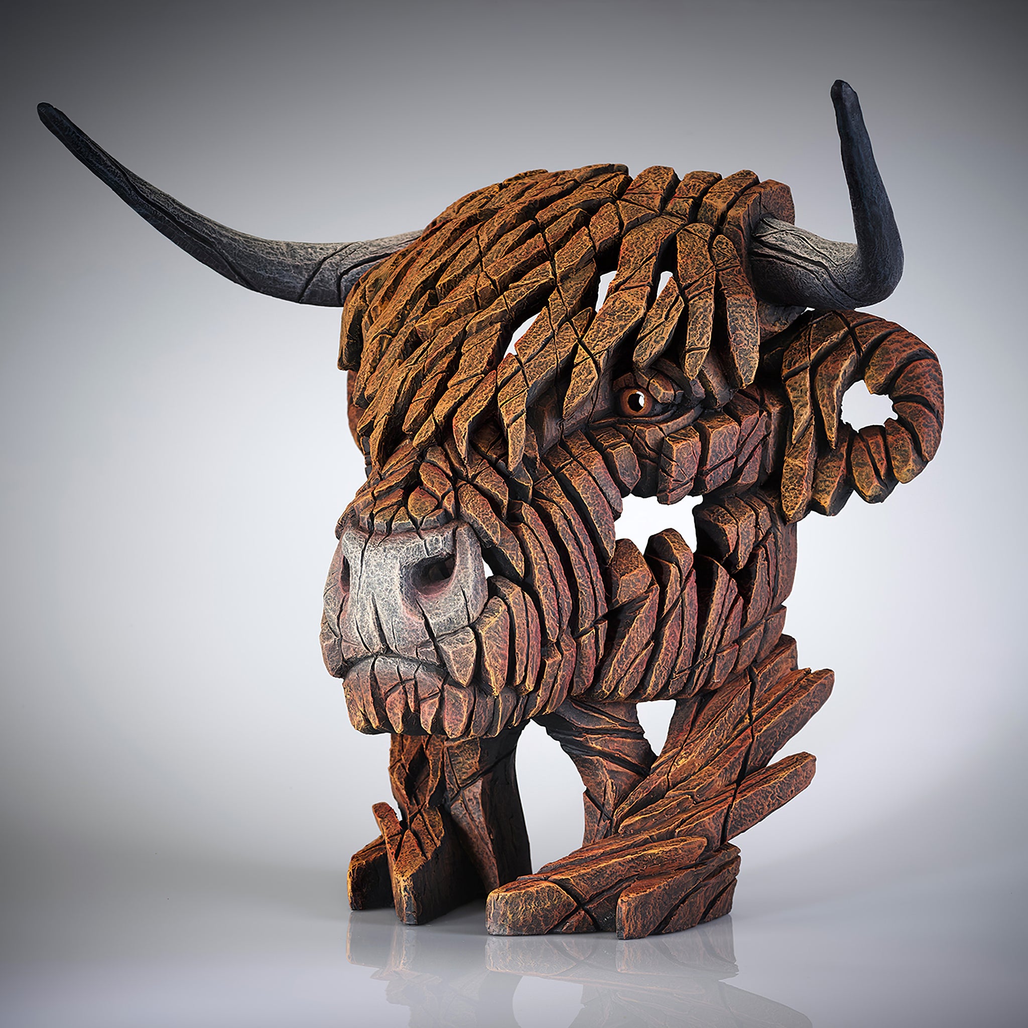 Highland Cow Bust from Edge Sculpture by Matt Buckley – Artworx Gallery